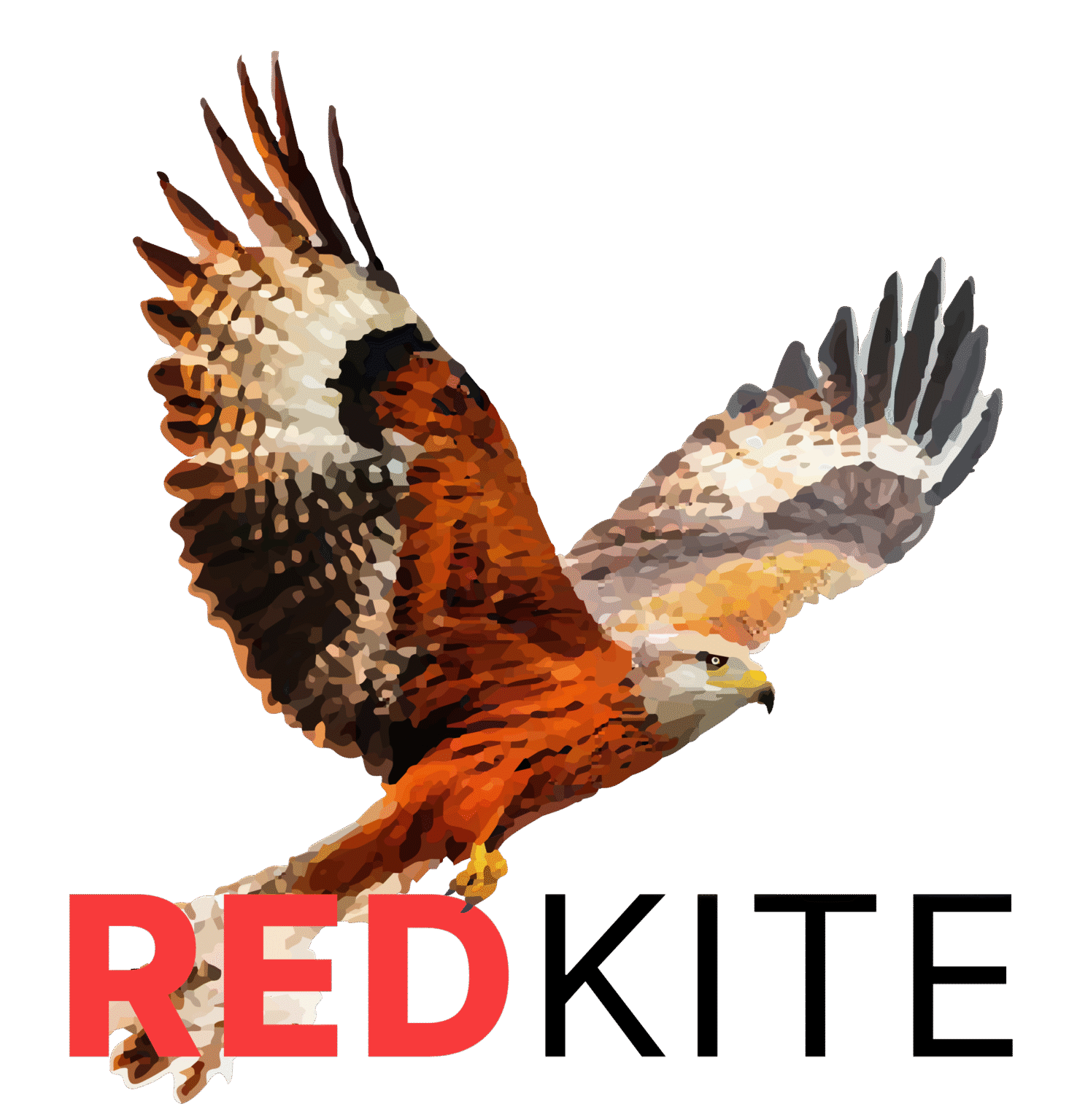 Redkite Solutions India Private Limited